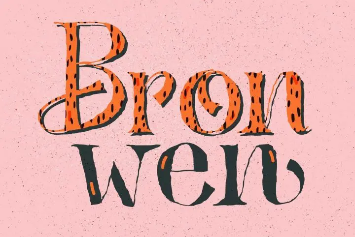 Bronwen Font - YouWorkForThem